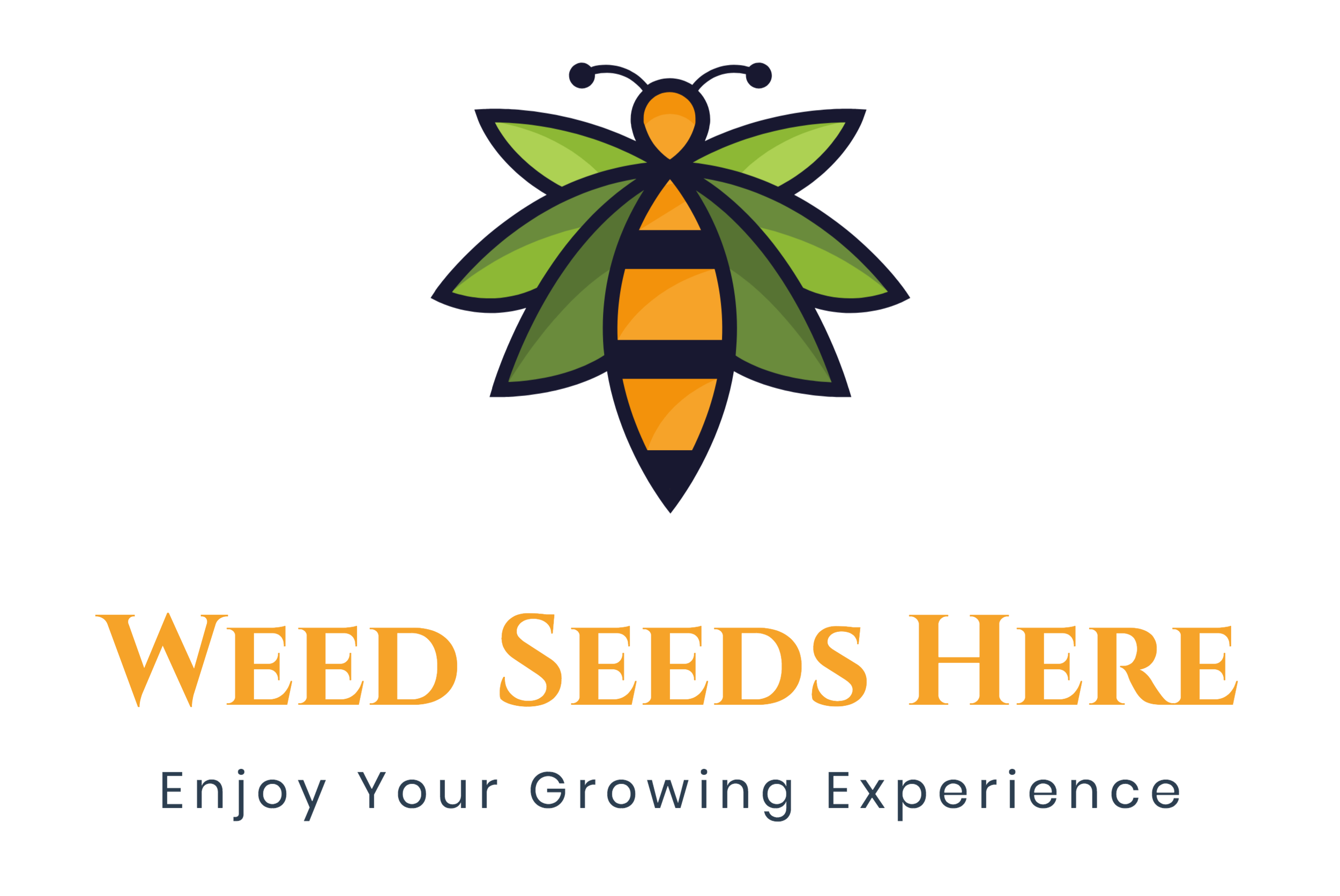 Cannabis Adverting Marketing Creatives Weed Seeds Here Cannabis Adverting Marketing Creatives Weed Seeds Here